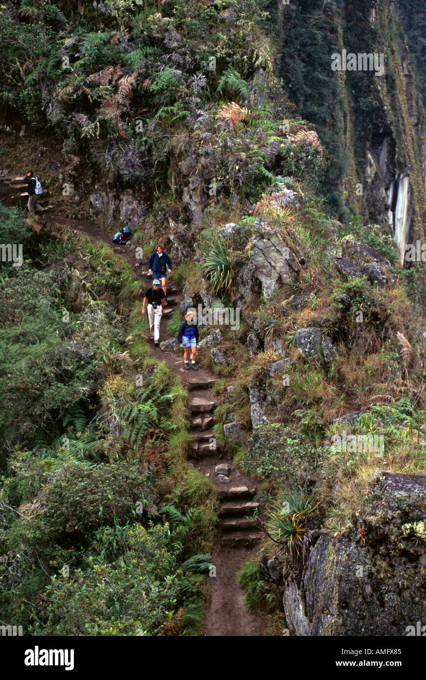 The trail to HUAYNA PICCHU is steep but the view is well worth the ...