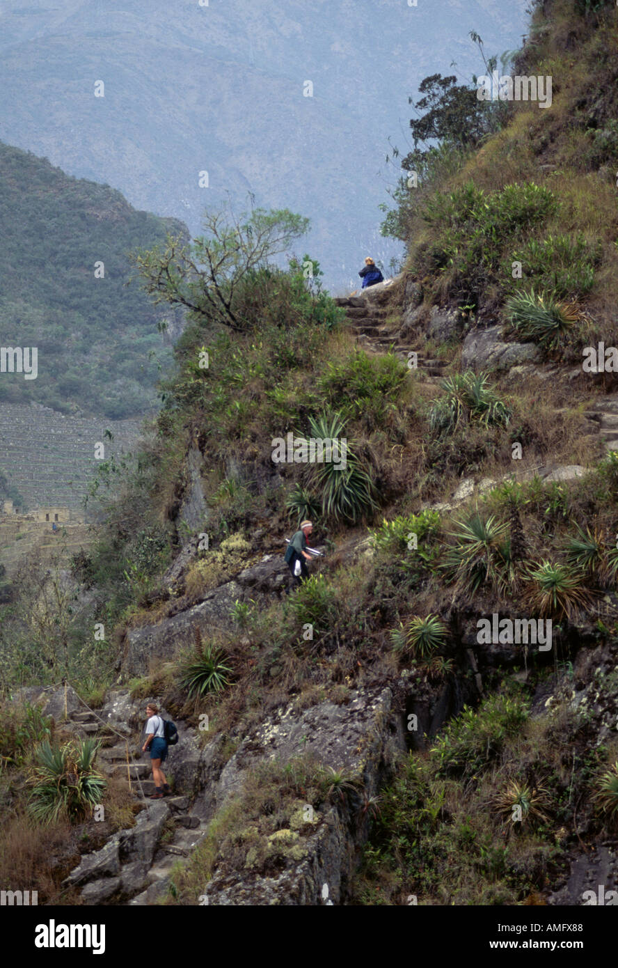 The trail to HUAYNA PICCHU is steep but the view is well worth the ...