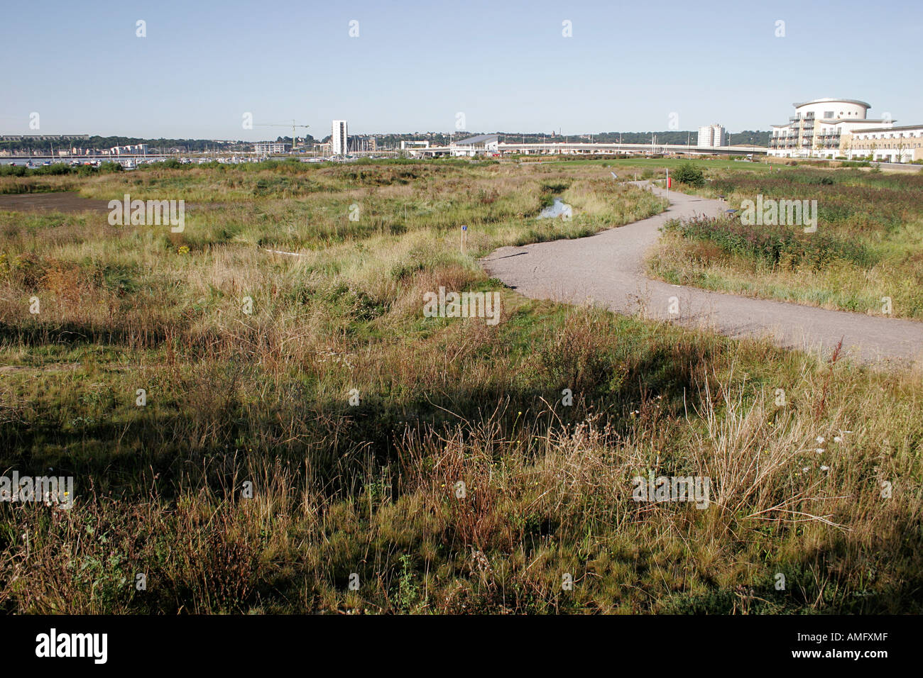 Cardiff bay wetlands nature reserve hi-res stock photography and images ...