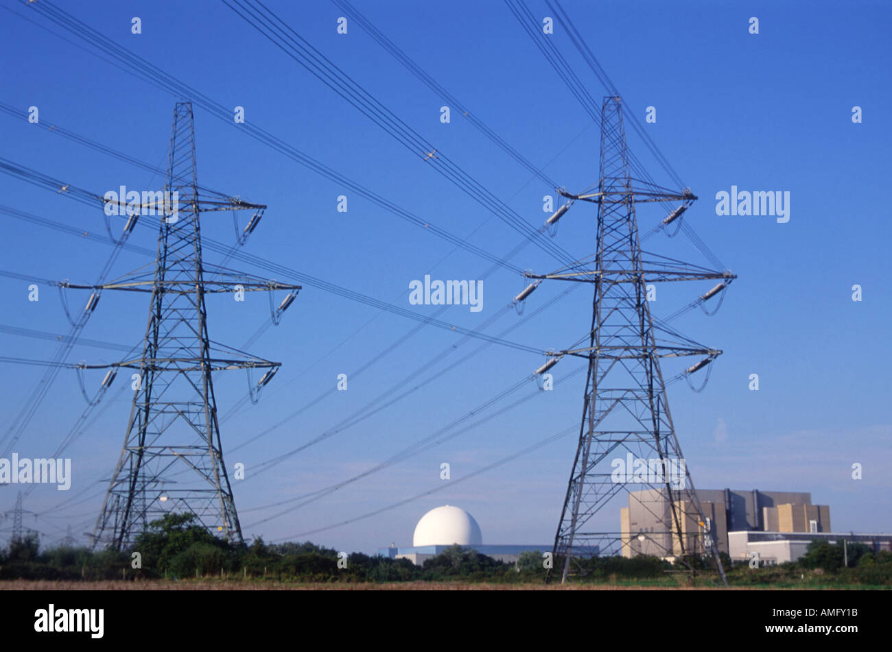Pylons and power cables Sizewell nuclear power station Suffolk England ...