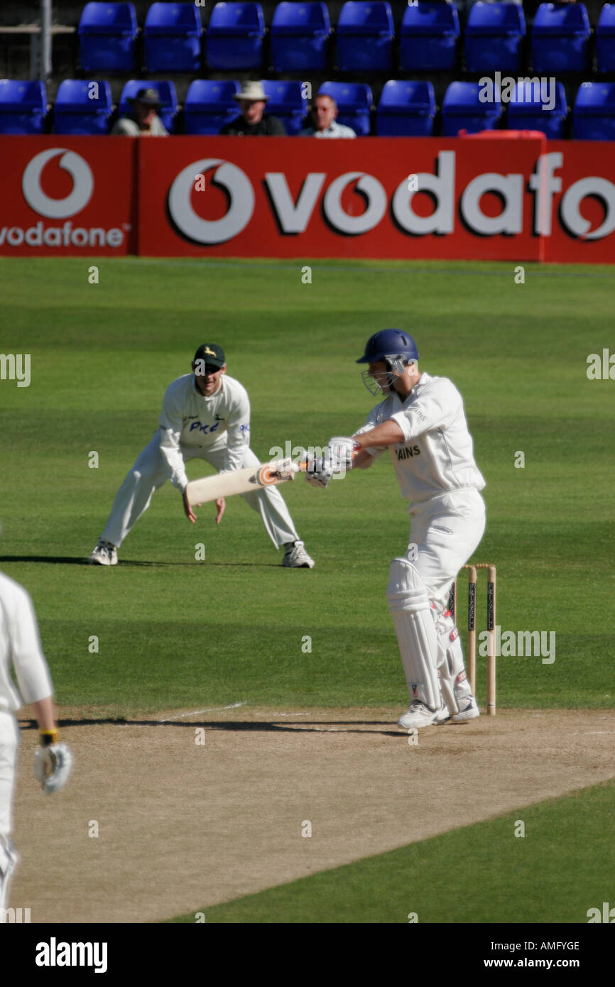 Professional cricket hi-res stock photography and images - Alamy