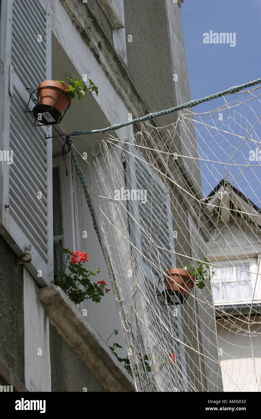 Trellis framework formed hi-res stock photography and images - Alamy