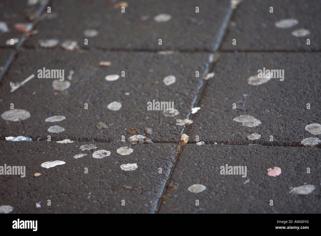 Chewing gum pavement litter hi-res stock photography and images - Alamy
