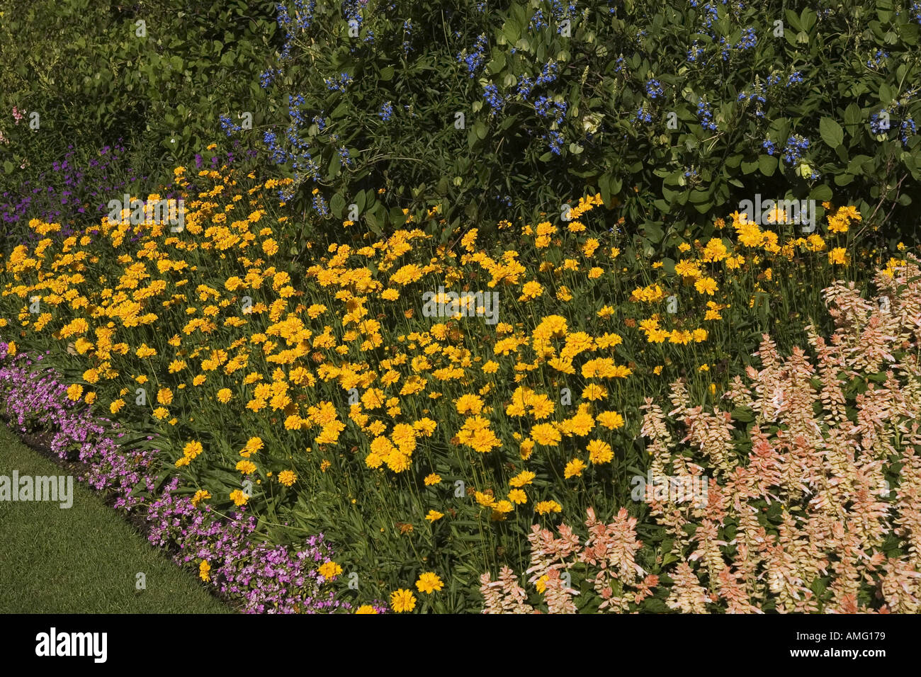 Outdoor day horizontal color colour image photography plantation ...