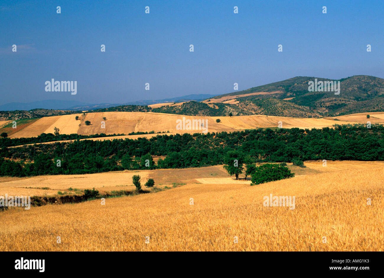 Polygyros High Resolution Stock Photography and Images - Alamy