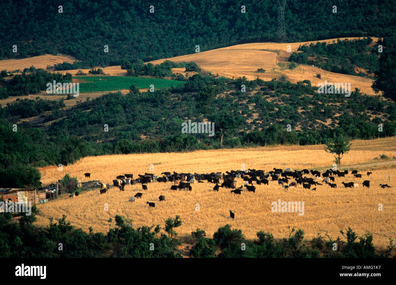 Polygyros High Resolution Stock Photography and Images - Alamy
