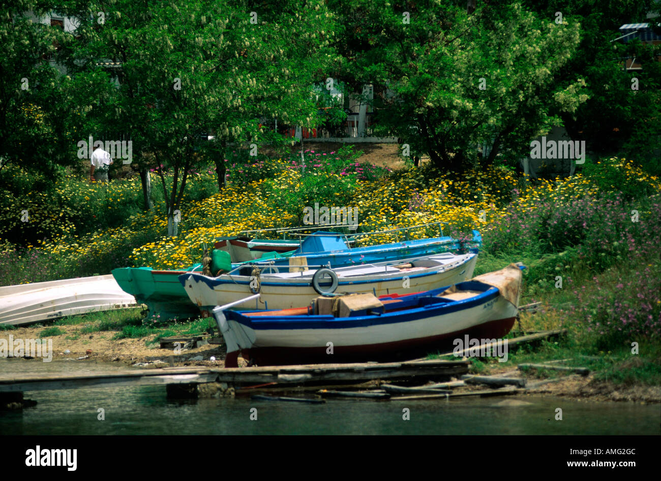 Griechenland, Chalkidiki, Athos, Insel Amoliani Stock Photo - Alamy