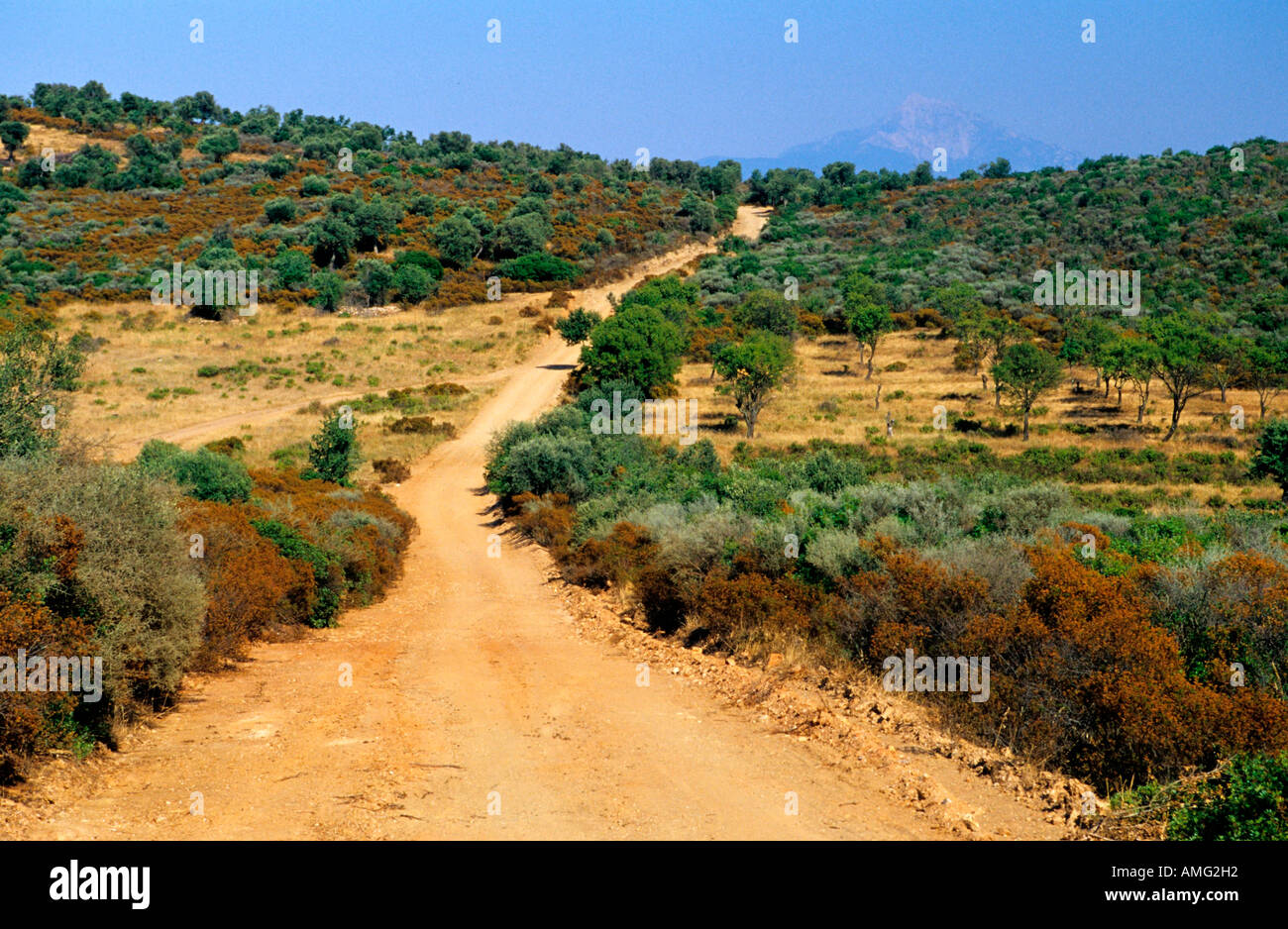 Griechenland, Chalkidiki, Athos, Insel Amoliani Stock Photo - Alamy