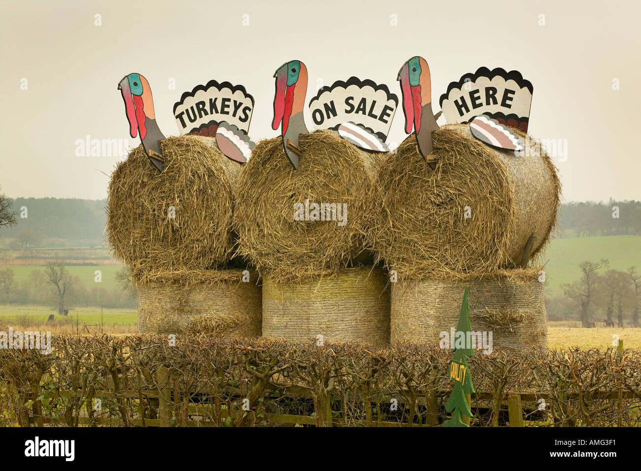 turkeys for sale sign at farm shop england Stock Photo - Alamy
