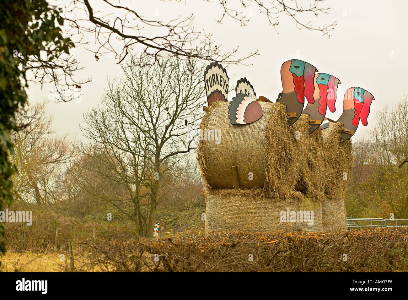 Hay for sale sign hi-res stock photography and images - Alamy