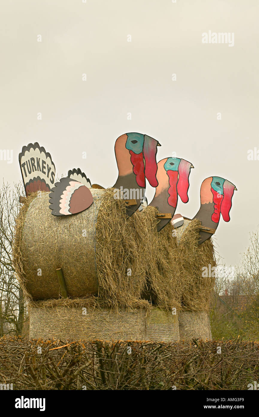 Monster hedge hi-res stock photography and images - Alamy