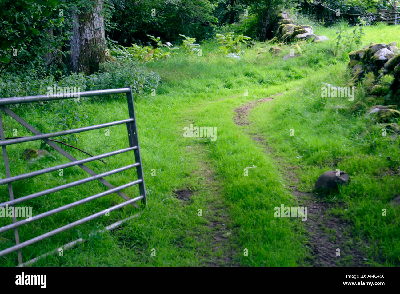 Farm lane in Scotland Stock Photo - Alamy