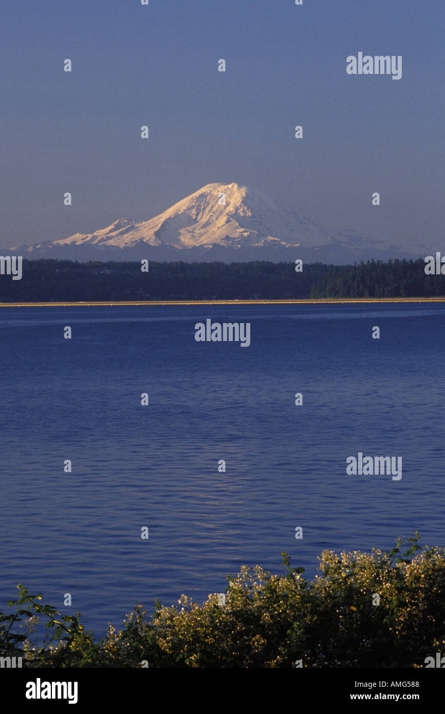 Mount Rainier And Lake Washington View With Mercer Island Floating ...