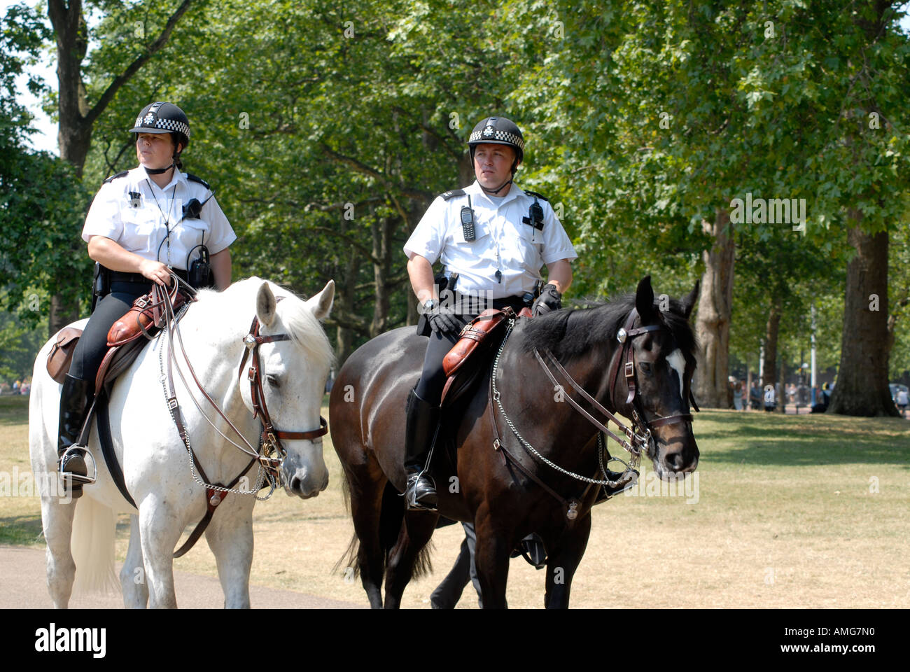 Mounted police walking in St James Park London Stock Photo - Alamy