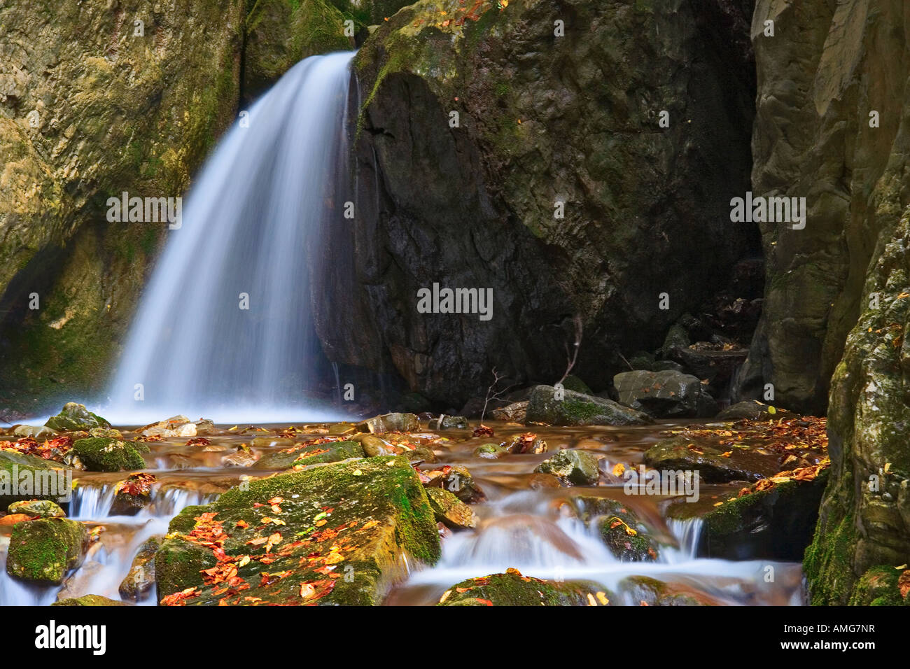 Beautiful waterfall in the forest Stock Photo - Alamy