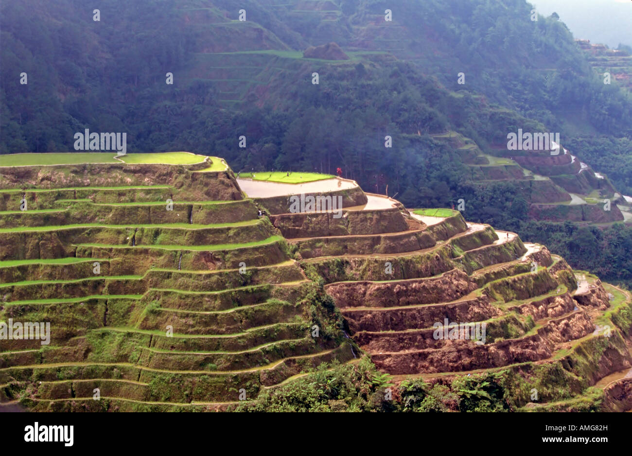 Philippines traditional community hi-res stock photography and images ...