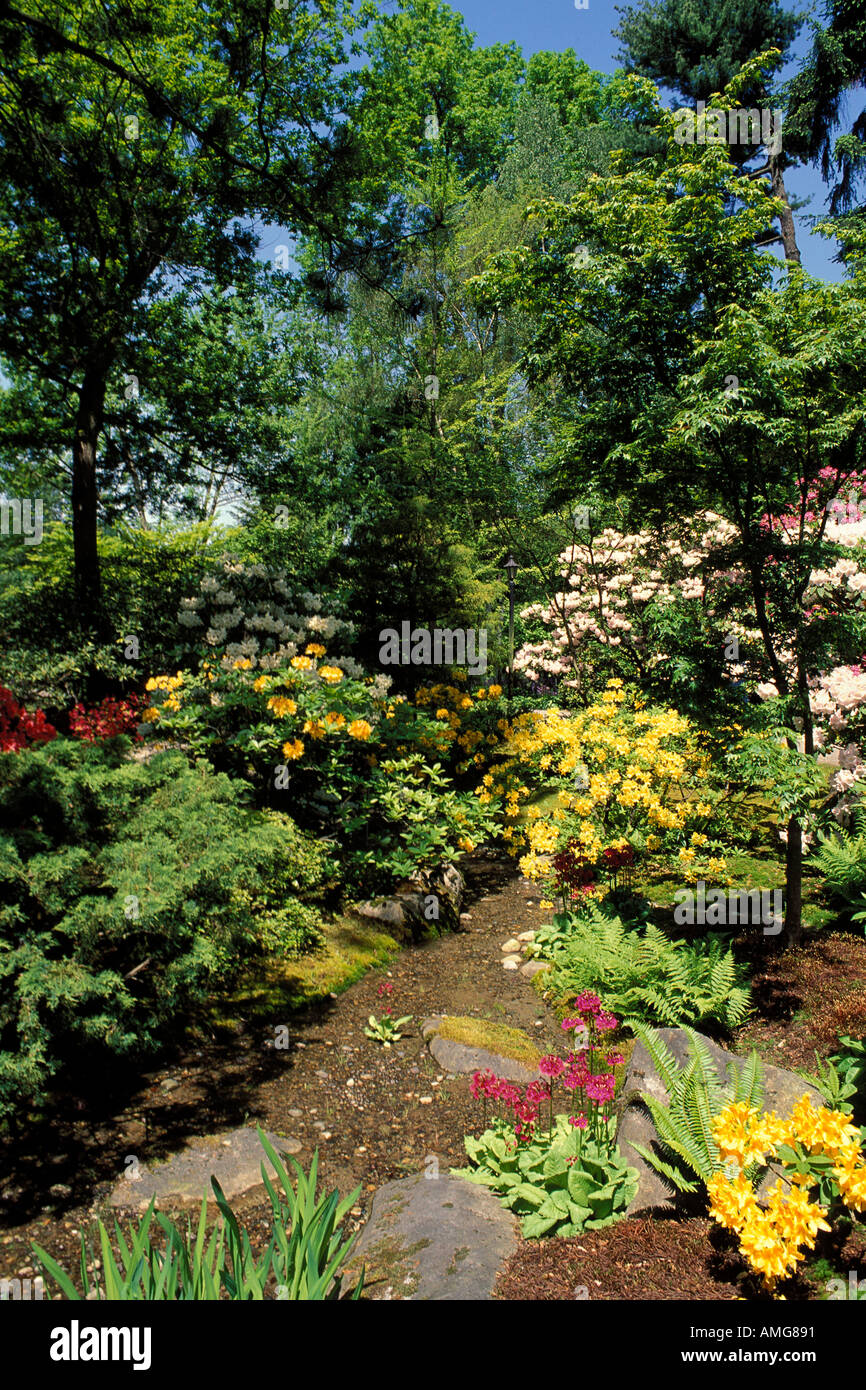 Seattle Washington Spring Blossoms At Japanese Garden University Of ...