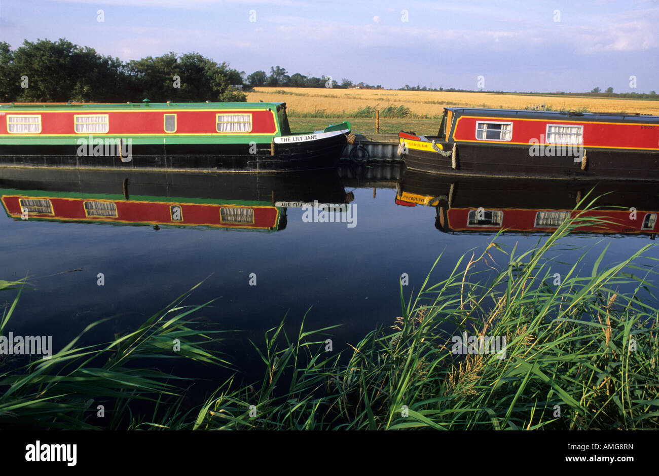 Narrow Boats Barges Fenland Upware Lode Cambridgeshire Stock Photo - Alamy