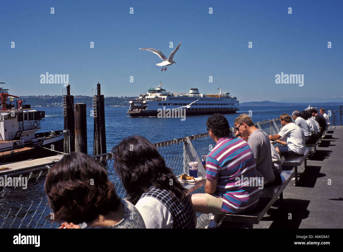 Seattle Washington Waterfront Dining On Pier With Seagulls And ...