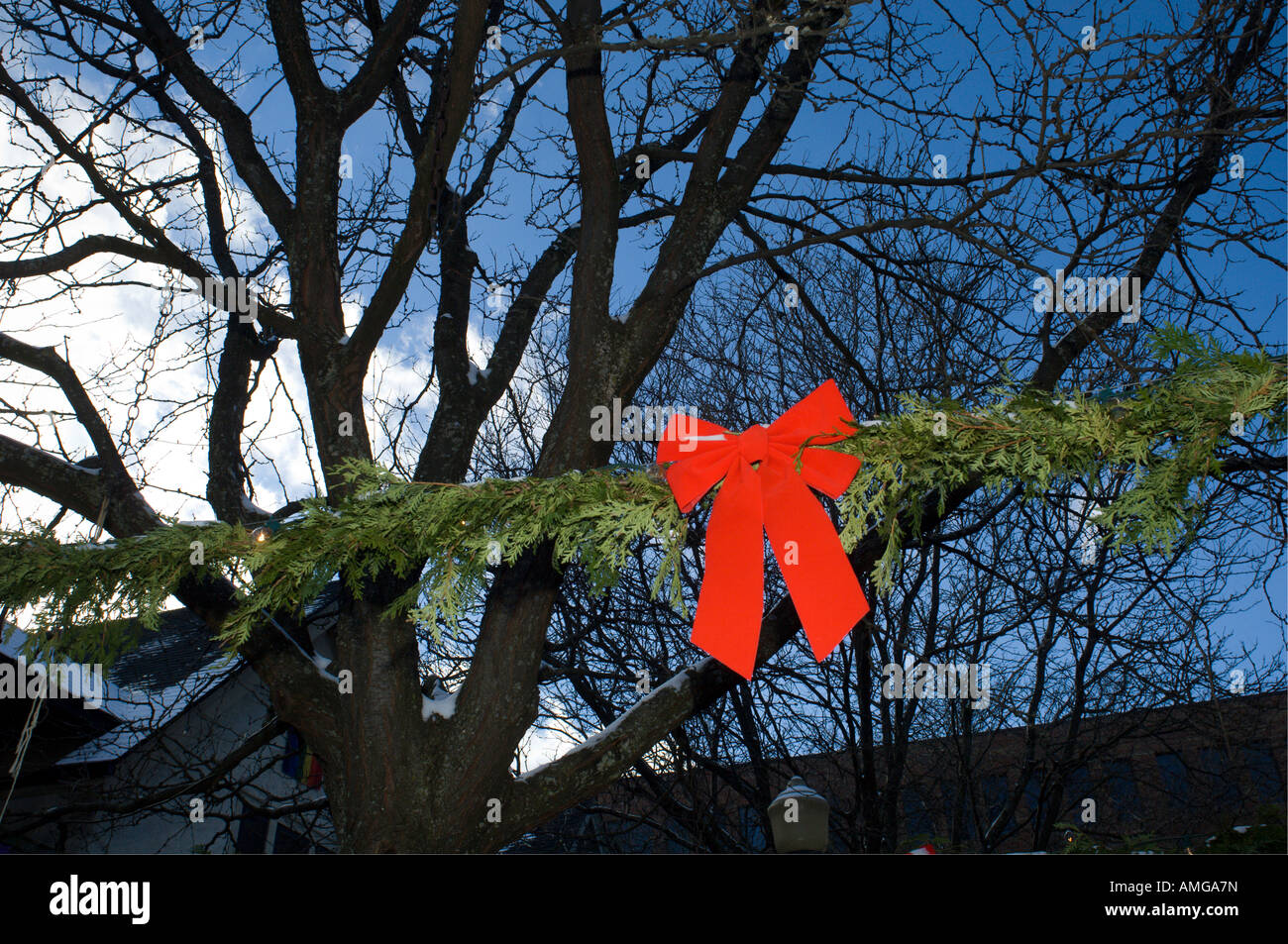 Bough christmas tree hi-res stock photography and images - Alamy