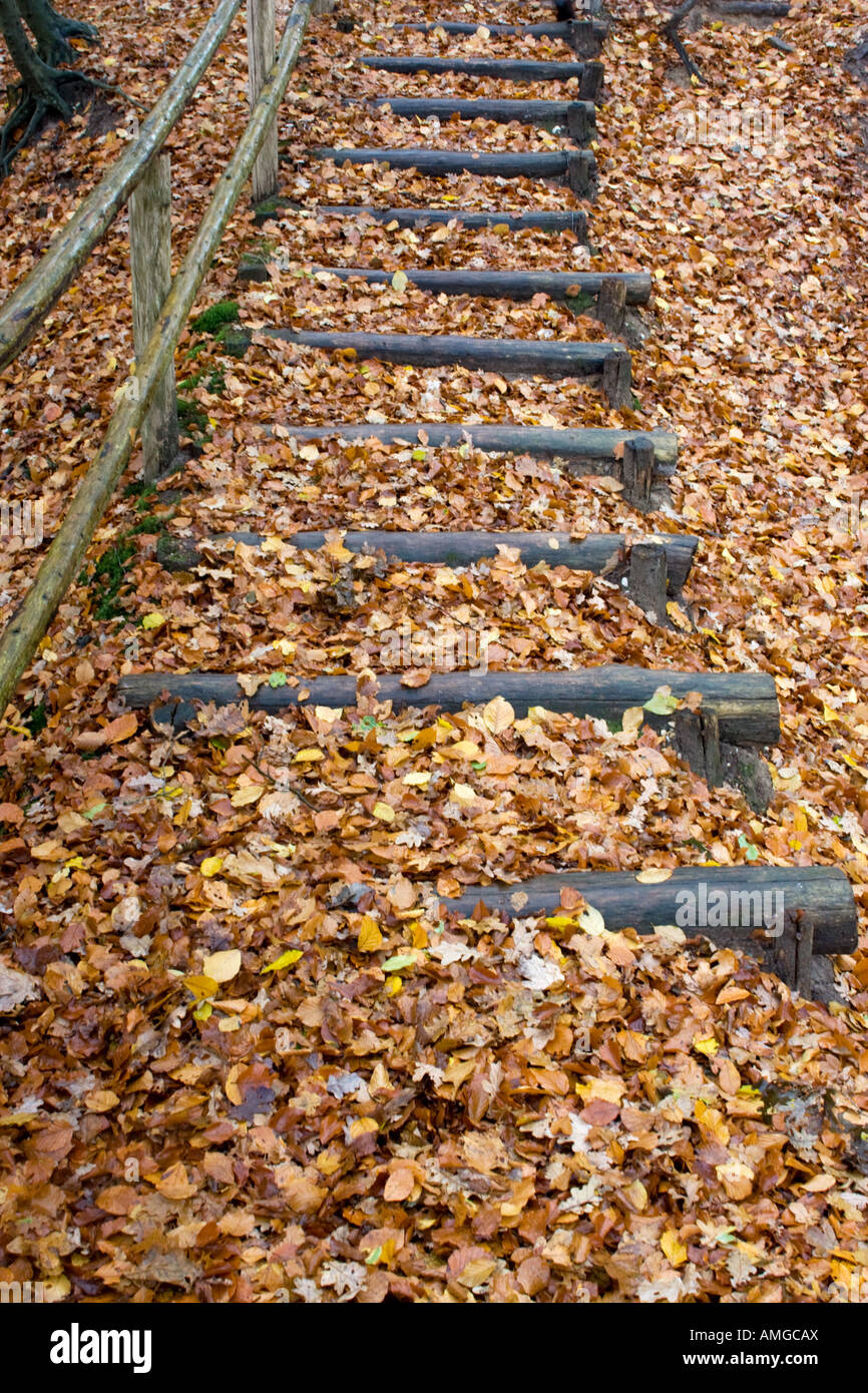 Wooden log stairs Stock Photo - Alamy