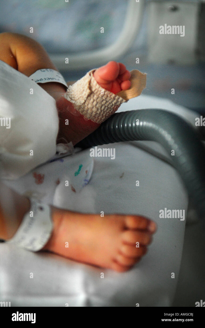 baby feet in an intensive care unit at a british hospital Stock Photo ...