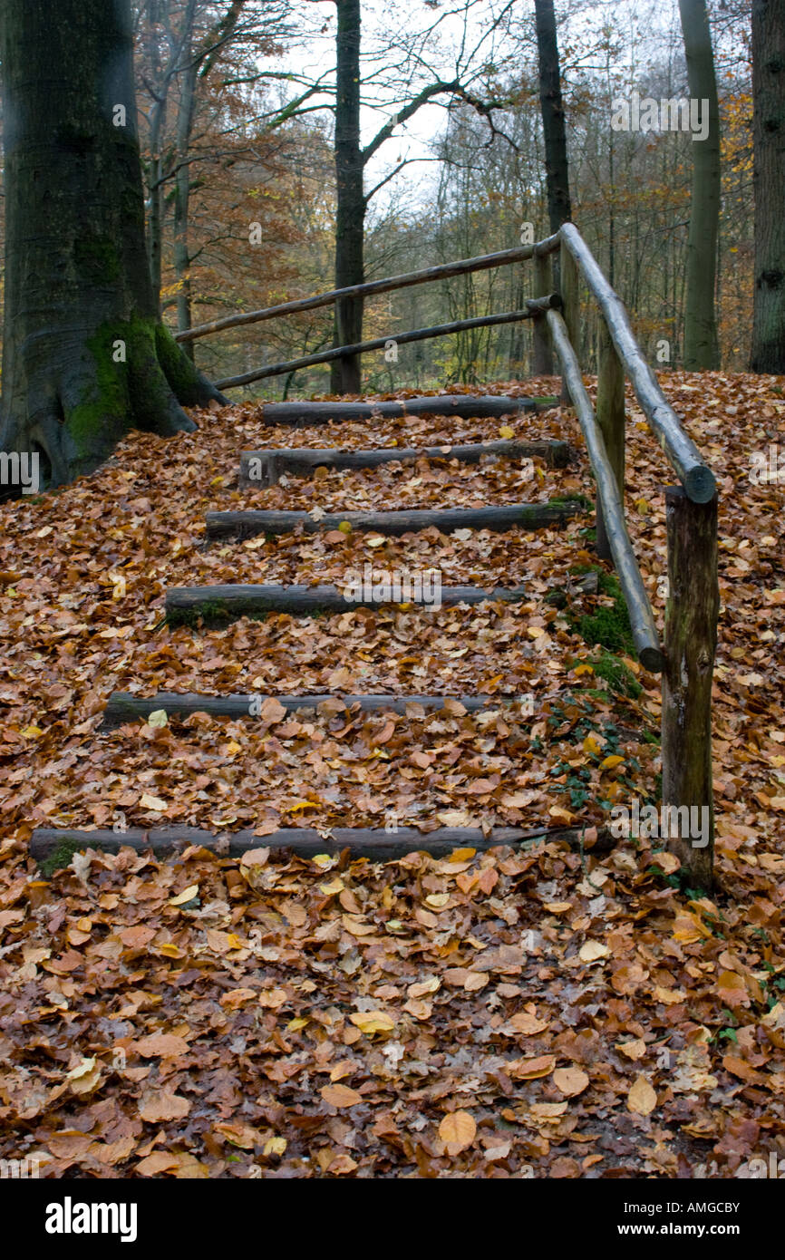 Wooden log stairs Stock Photo - Alamy