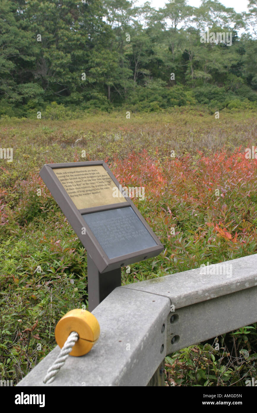Cape Cod September 2007 Stock Photo - Alamy