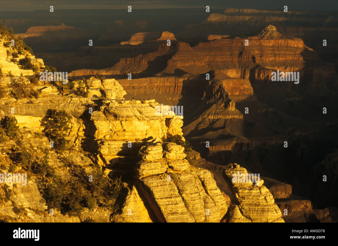 Grand Canyon NP Arizona Stock Photo - Alamy