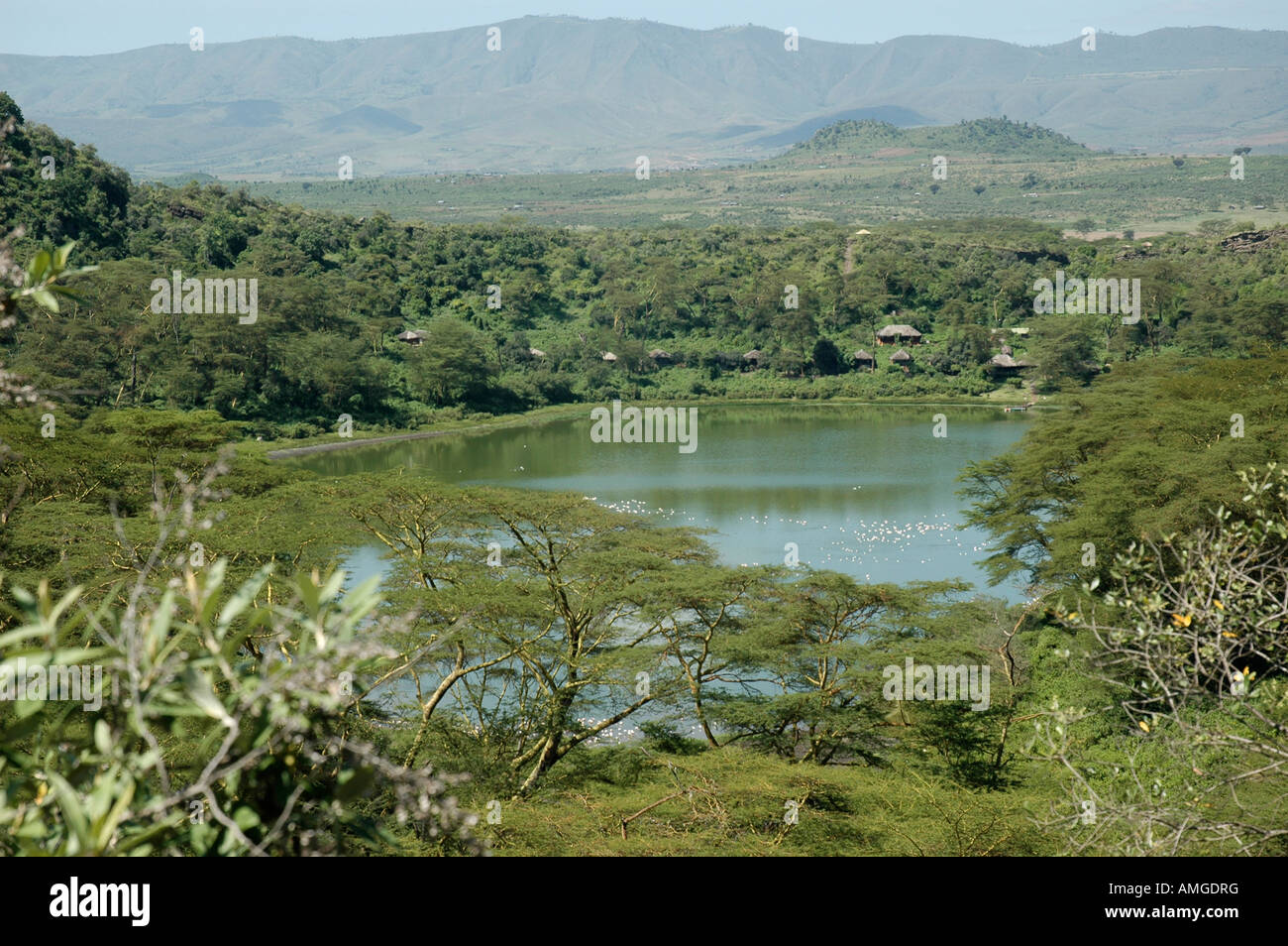 Kenya lake naivasha Kenya The crater lake Stock Photo - Alamy