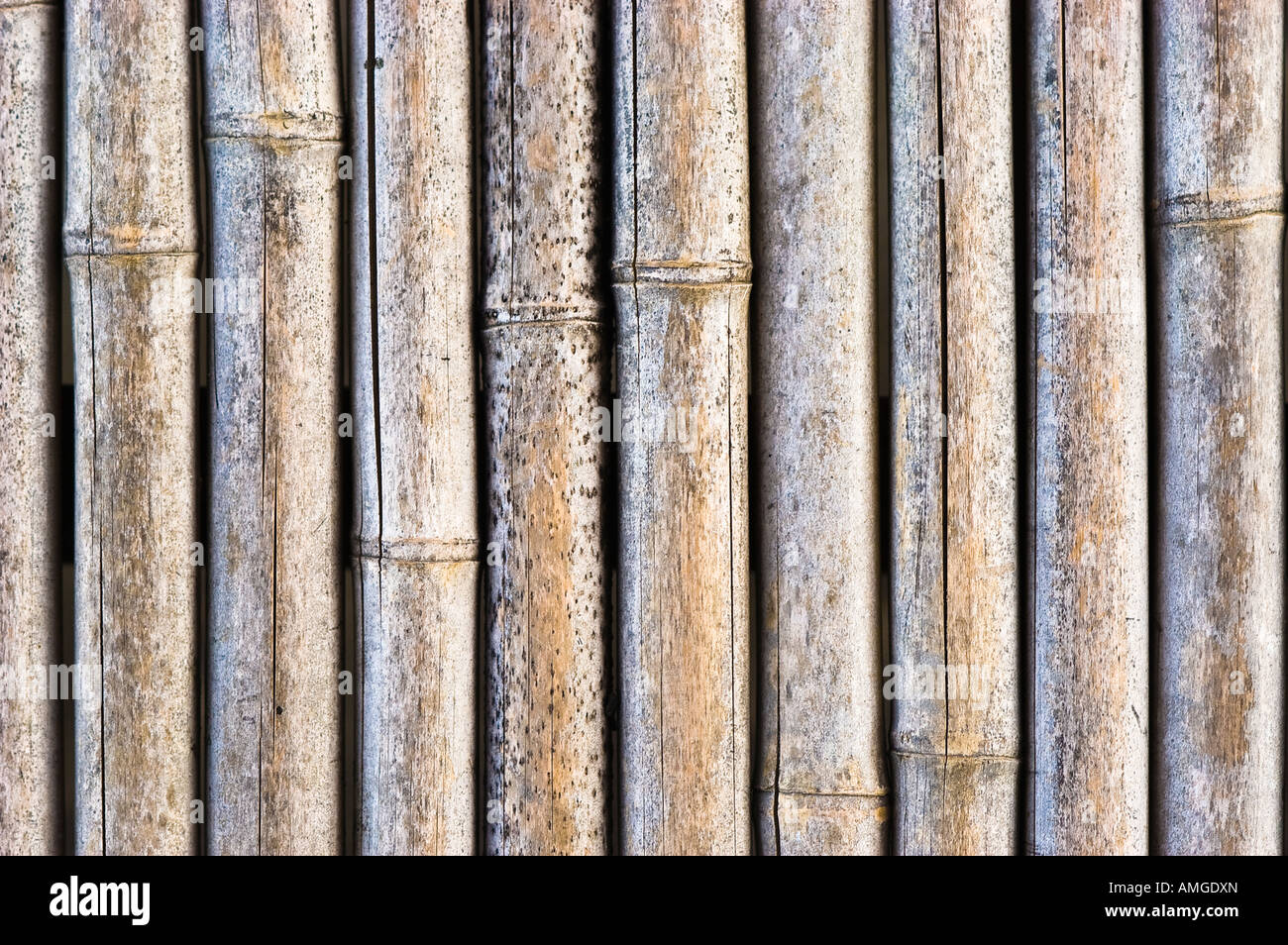 Reed lines hi-res stock photography and images - Alamy
