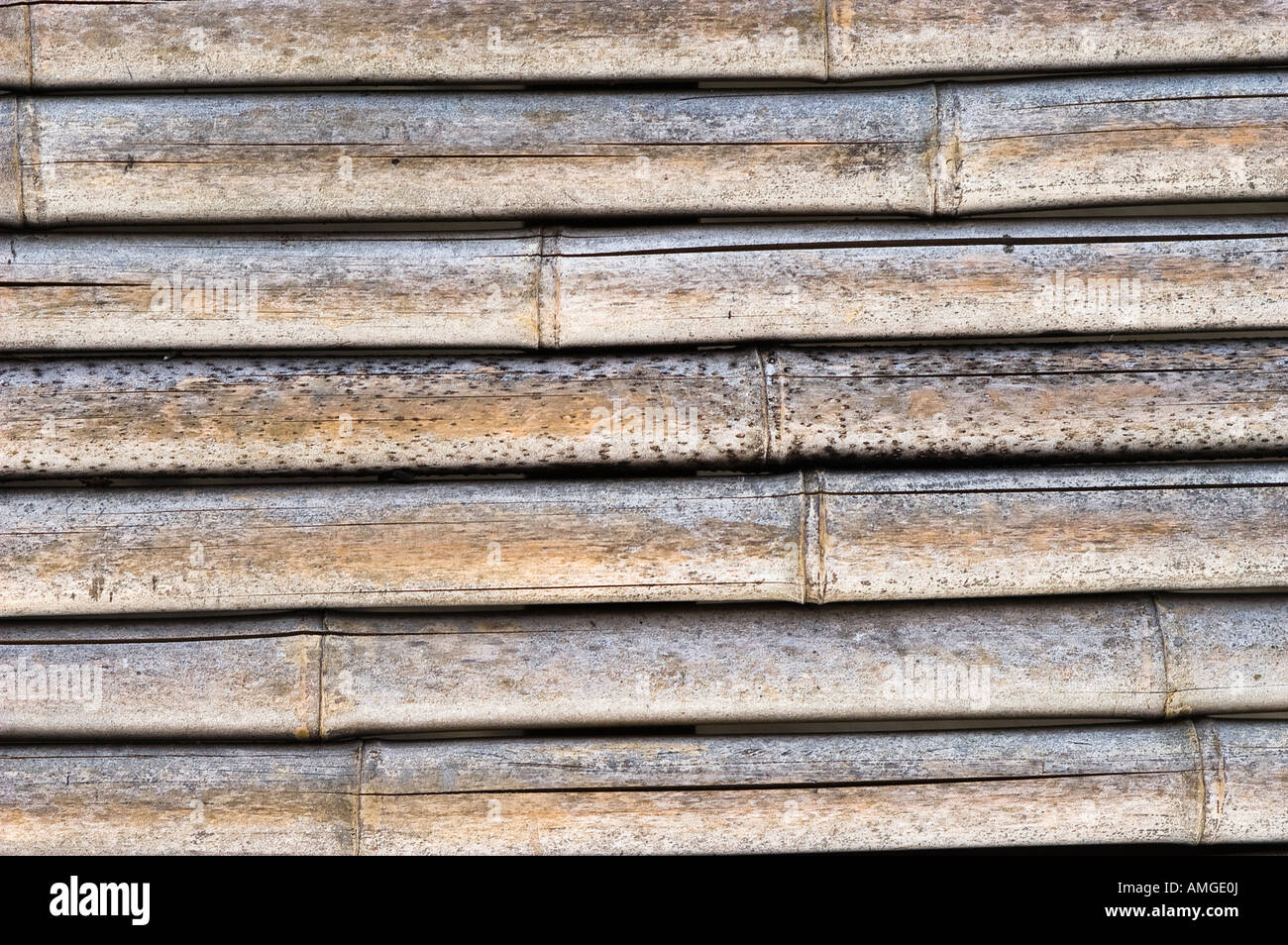 Reed lines hi-res stock photography and images - Alamy