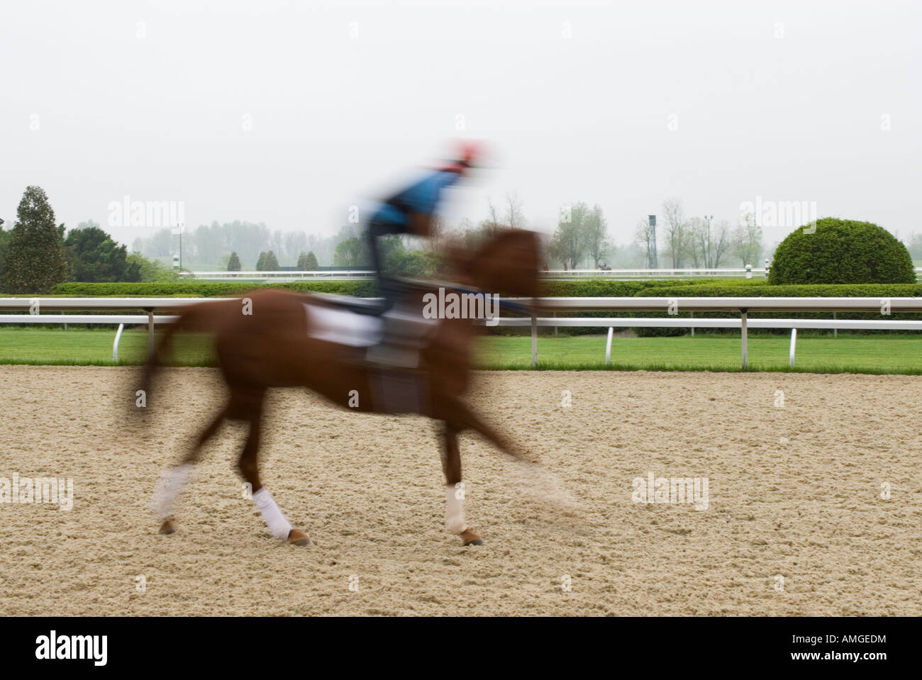 Warming up the thoroughbreds at Keeneland race track in Lexington ...