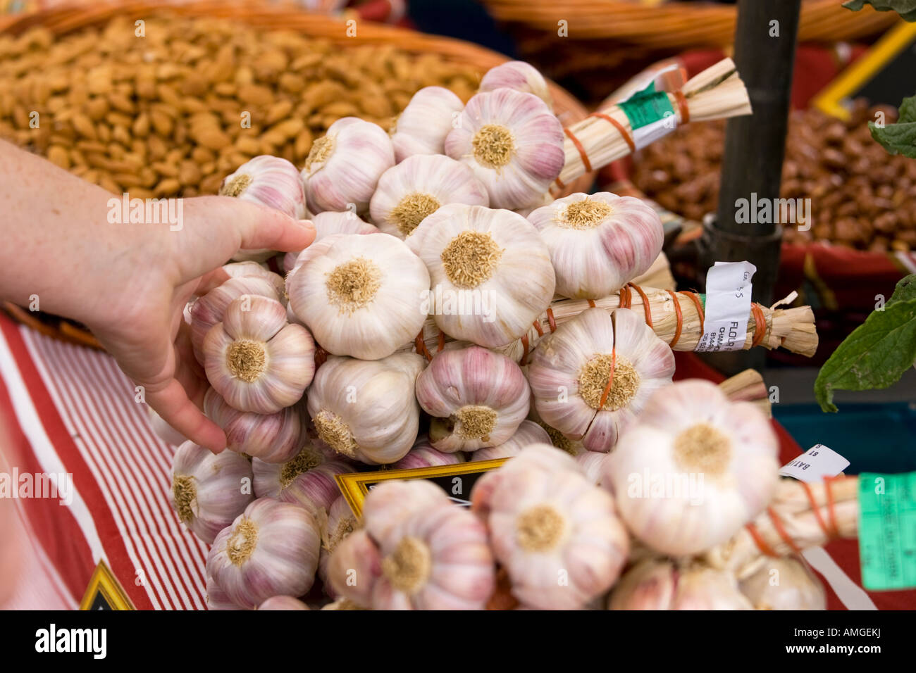 Garlic on french market stall Stock Photo - Alamy