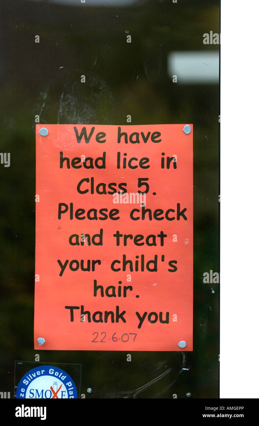 Nurse head lice hi-res stock photography and images - Alamy