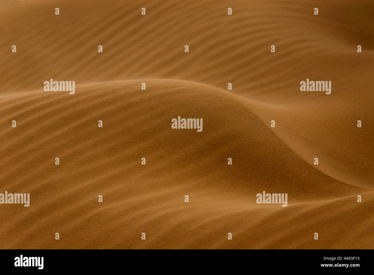 Sand dune close up with wind formed patterns Stock Photo - Alamy