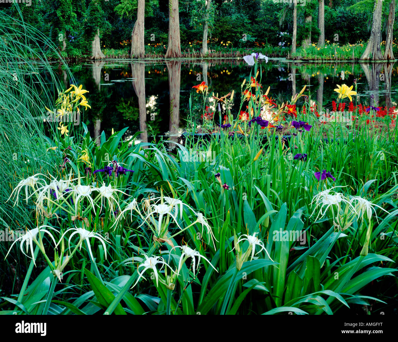 Magnolia plantation and gardens hi-res stock photography and images - Alamy