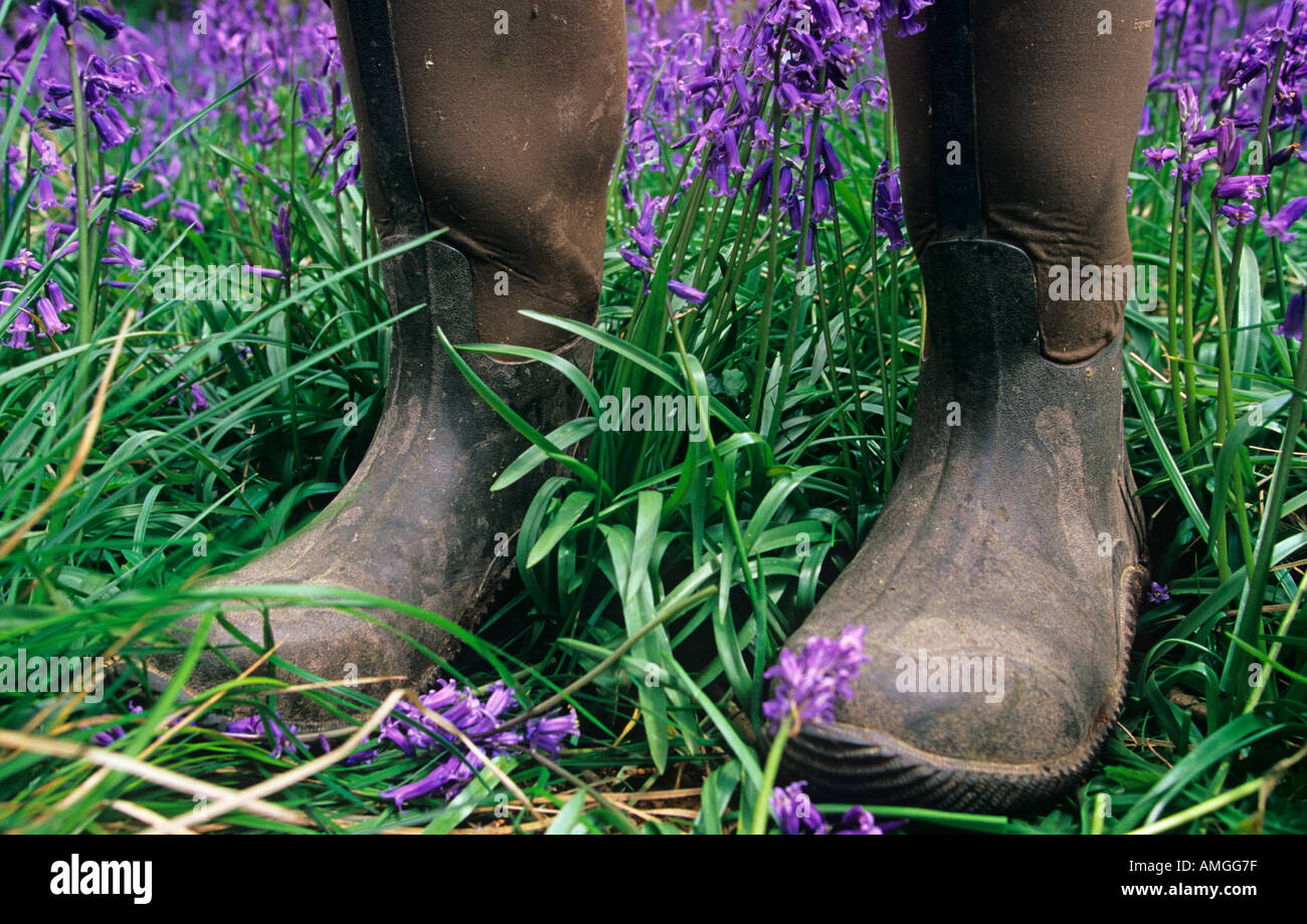 Trampling flower hi-res stock photography and images - Alamy