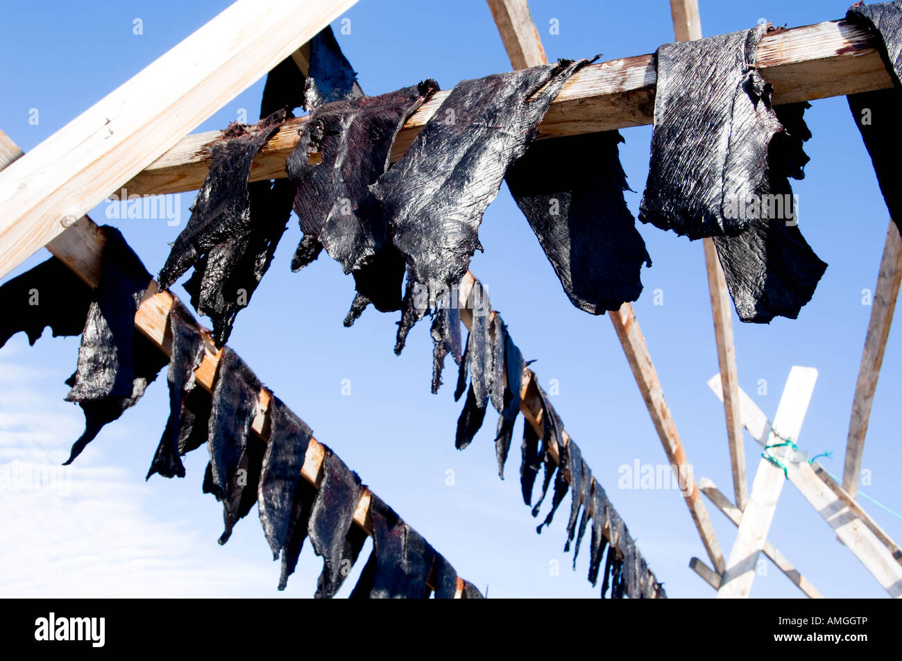 Inuit whale meat hi-res stock photography and images - Alamy