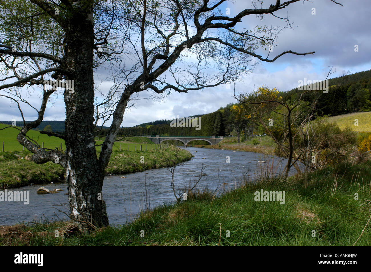 Strathdon Bridge High Resolution Stock Photography and Images - Alamy