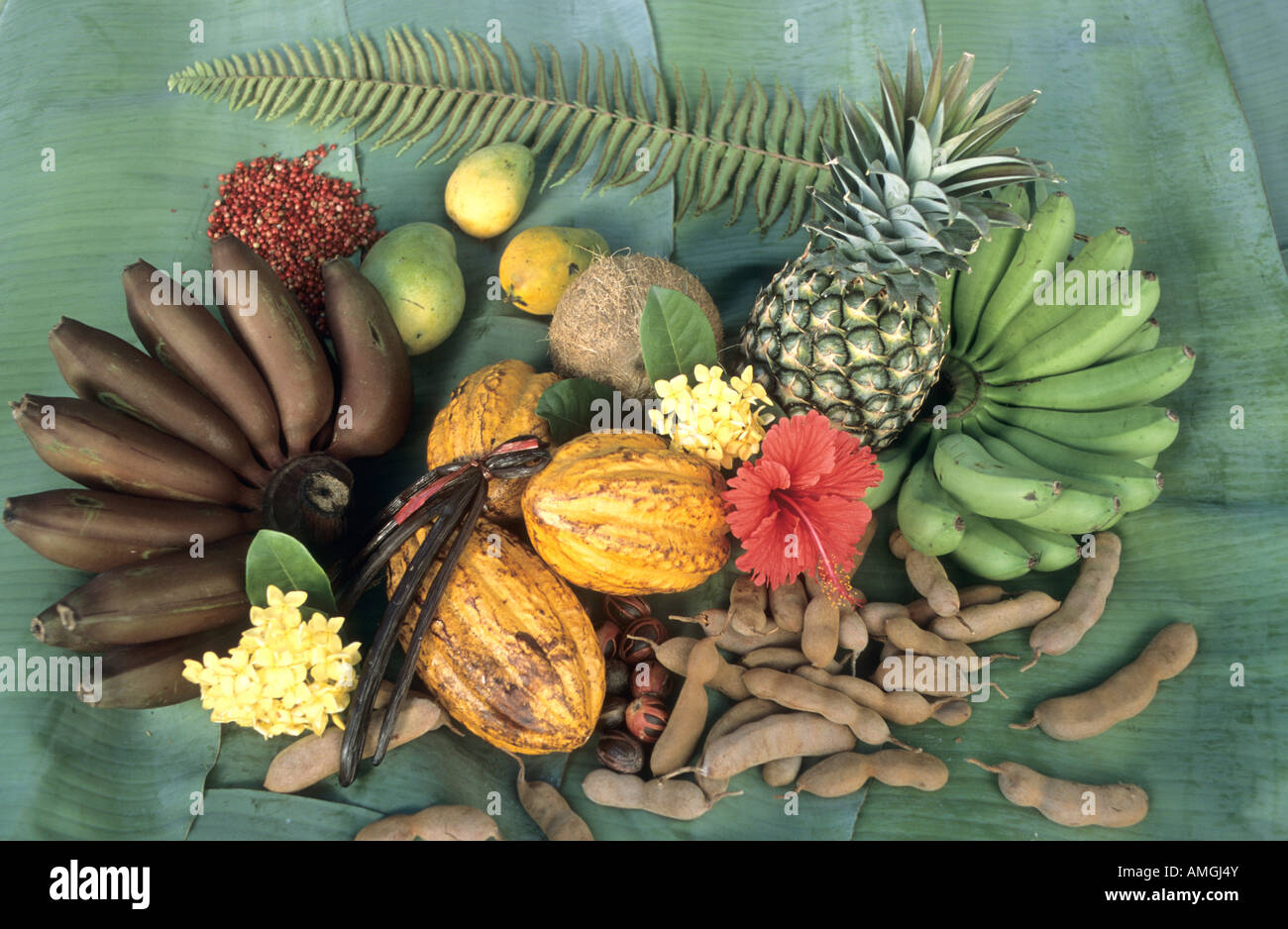 Caribbean Fruits