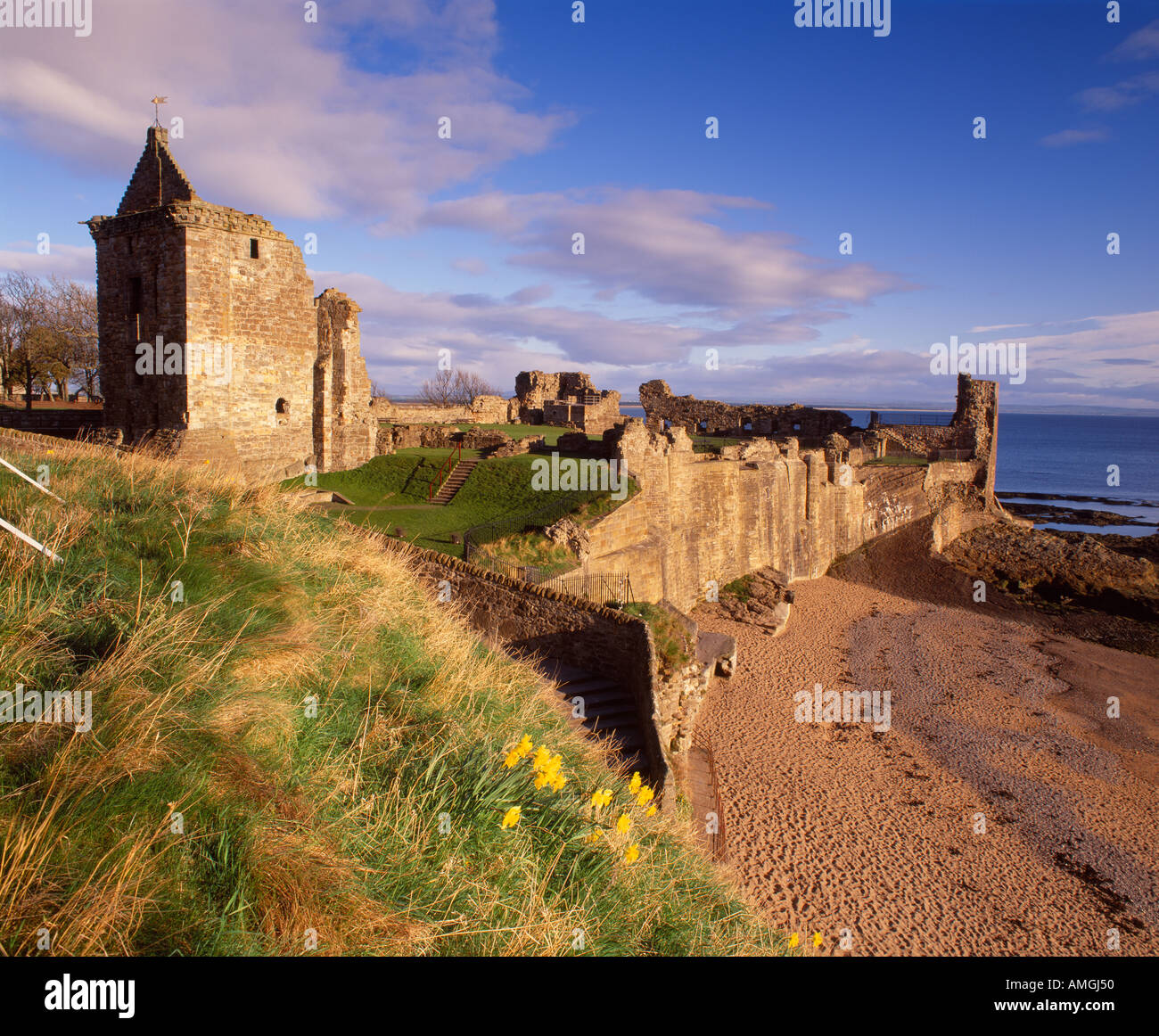 St Andrews Castle, Fife, Scotland, UK Stock Photo - Alamy