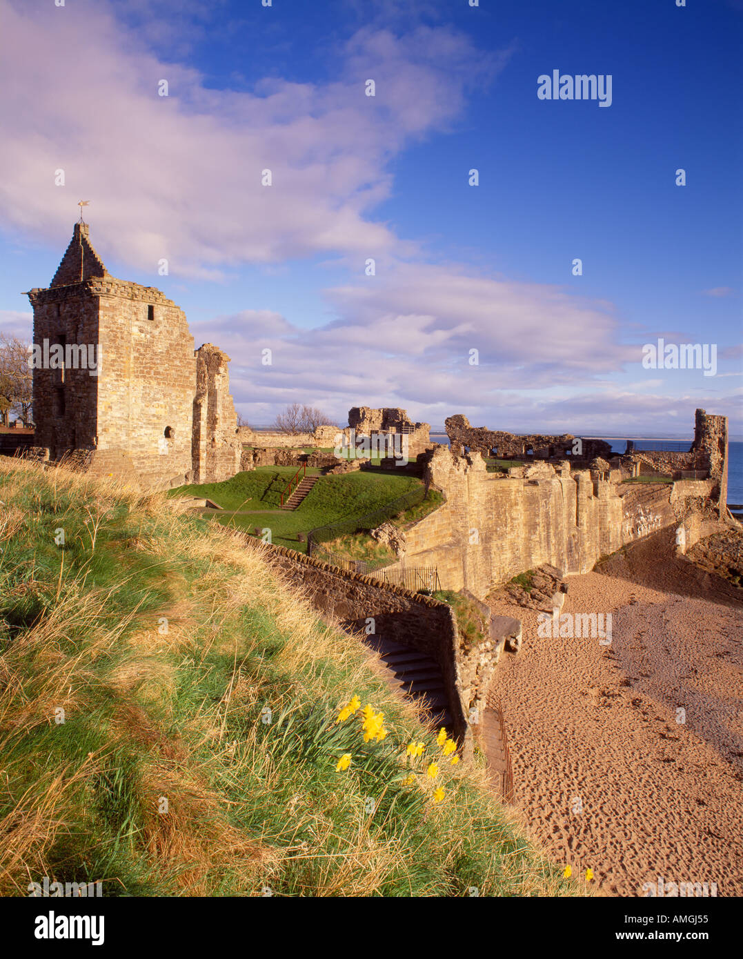 St Andrews Castle, Fife, Scotland, UK Stock Photo - Alamy
