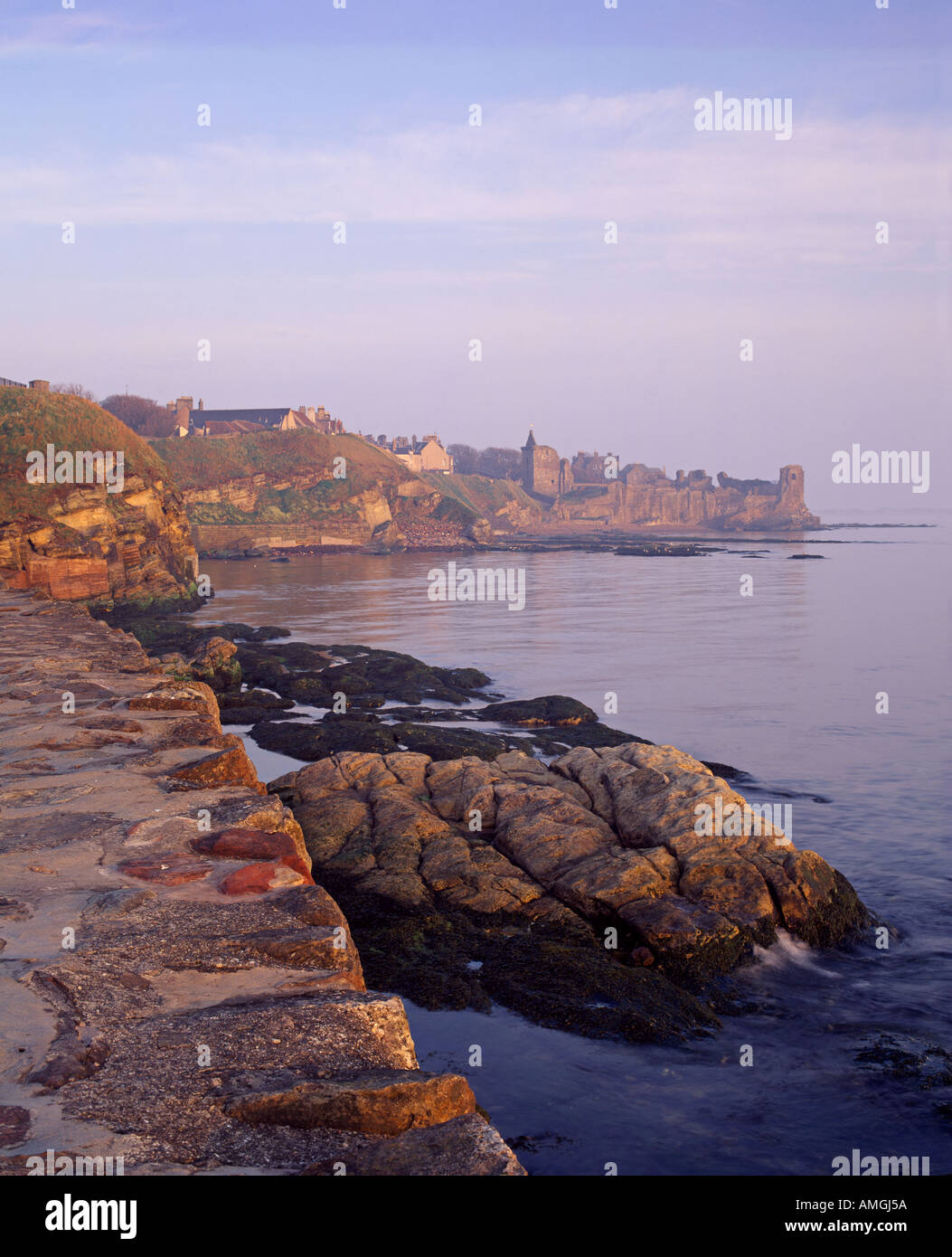 St Andrews Castle, Fife, Scotland, UK Stock Photo - Alamy