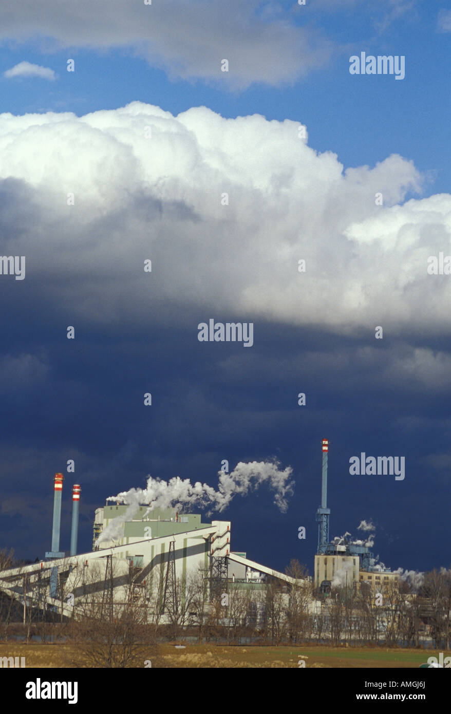 industrial paper pulp manufacturing plant billowing smoke stacks Stock ...