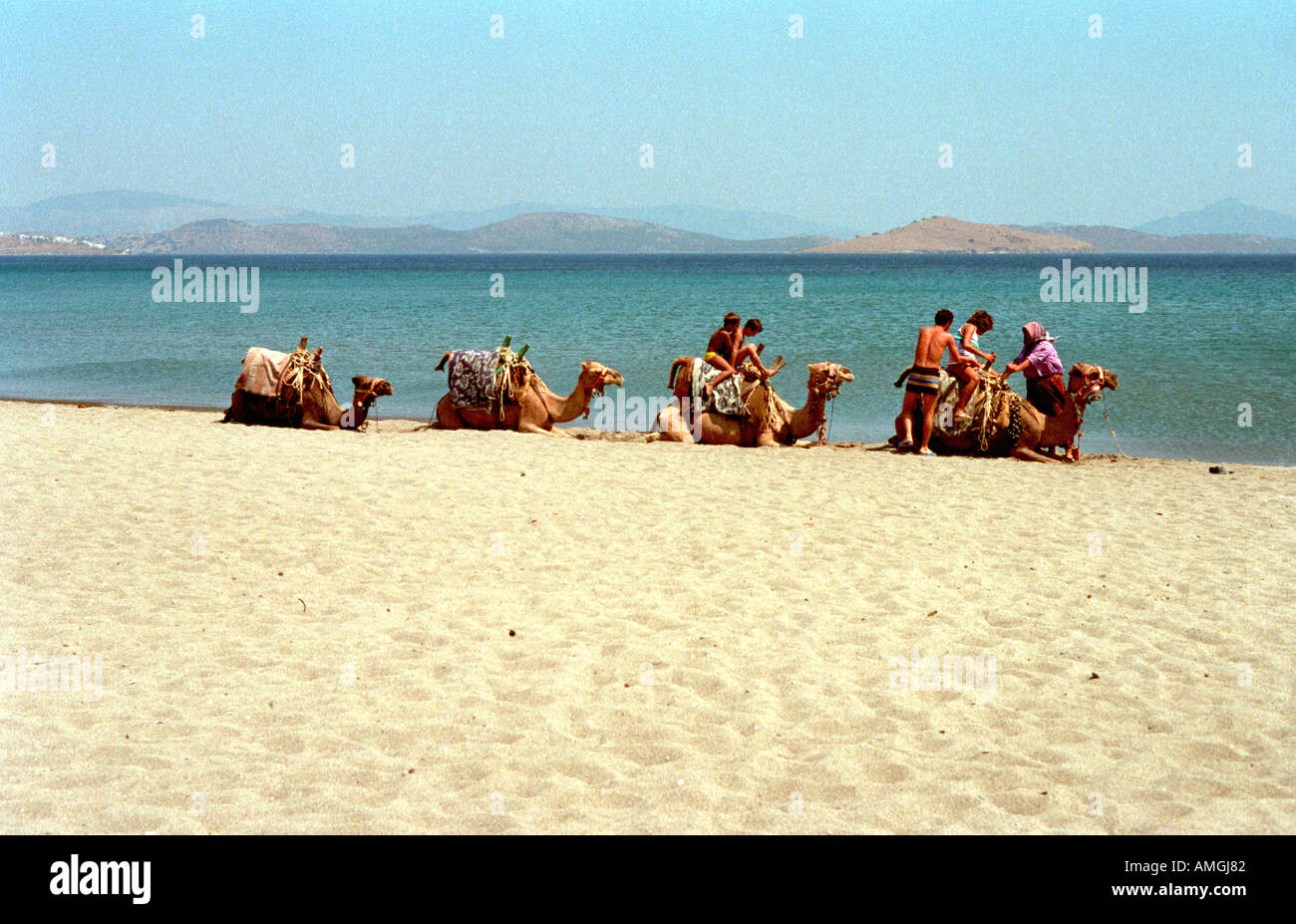 Turkey camels hi-res stock photography and images - Alamy