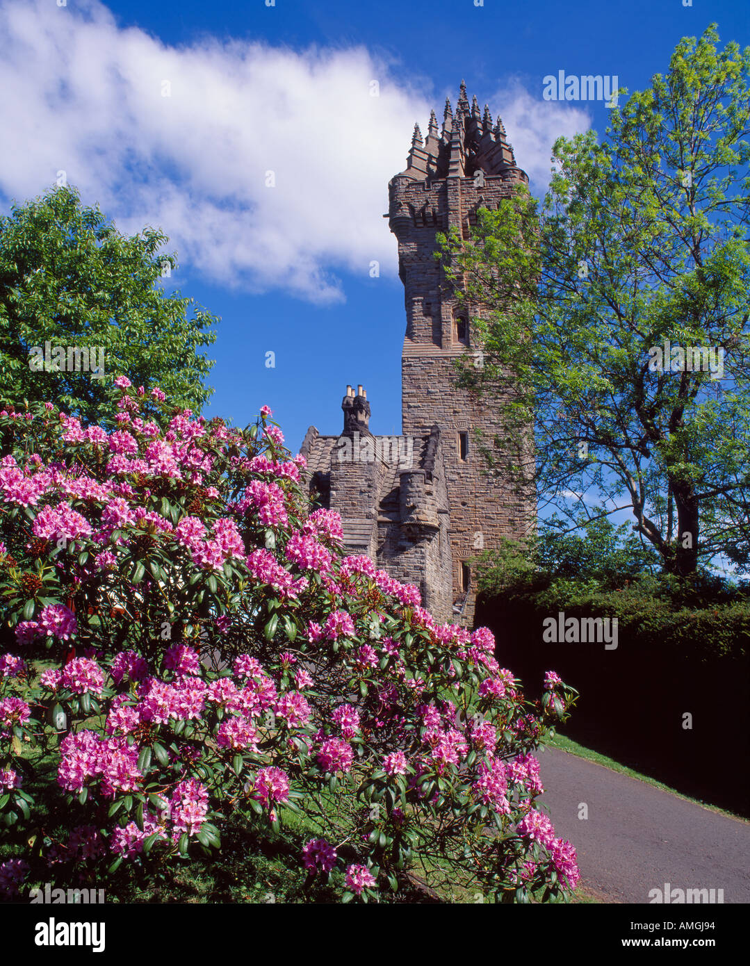 The National Wallace Monument on Abbey Craig, Stirling, Scotland, UK ...