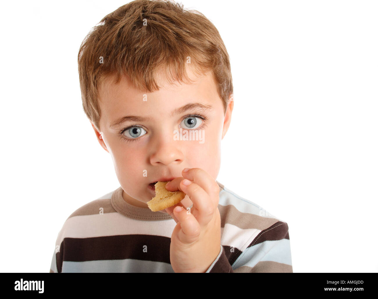 Little boy eating a biscuit Stock Photo - Alamy