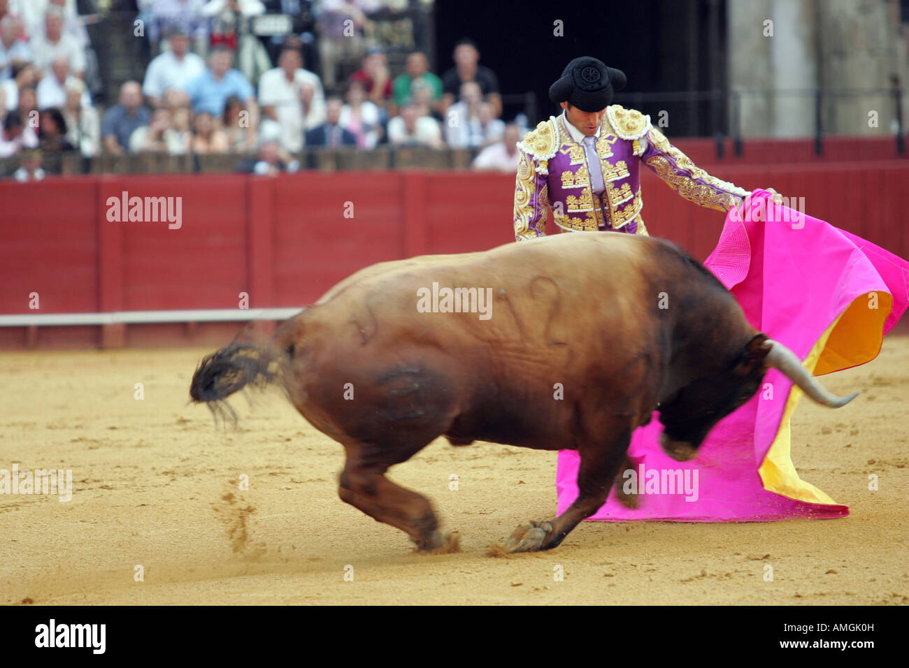 Bull Charging Spain High Resolution Stock Photography and Images - Alamy