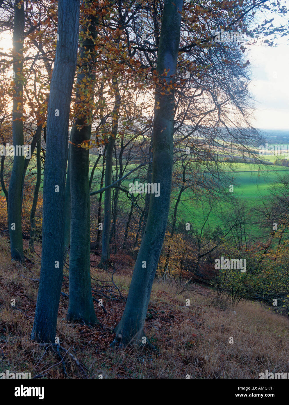 View thames valley hi-res stock photography and images - Alamy